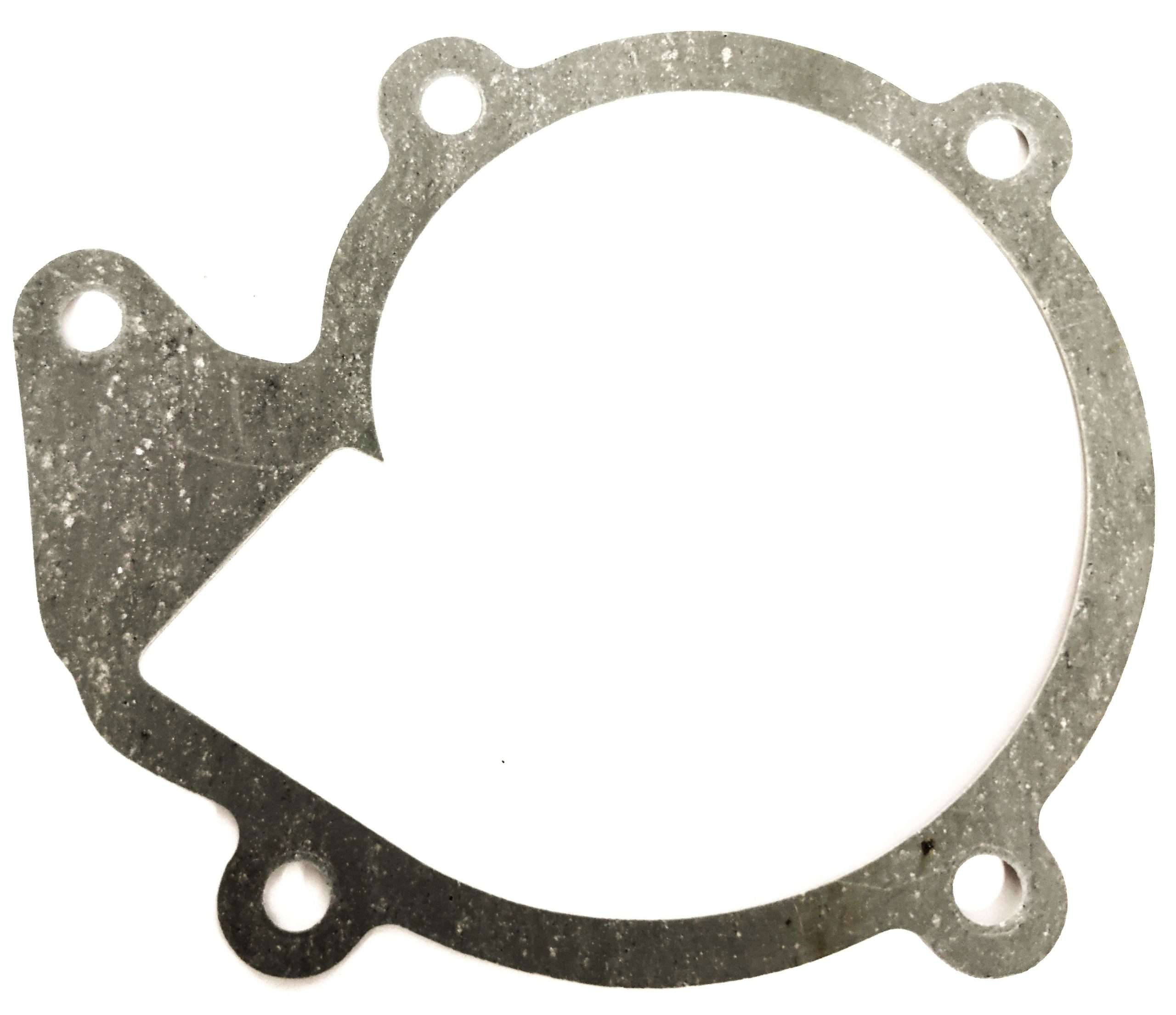 Water Pump Back Cover Gasket - DeLorean Midwest